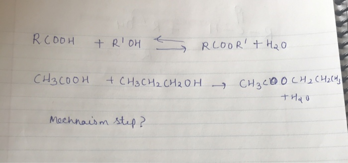 Solved RCOOH + R' OH R LOOR + H2O CH3COOH + CH3Cң, CHдон сня | Chegg.com