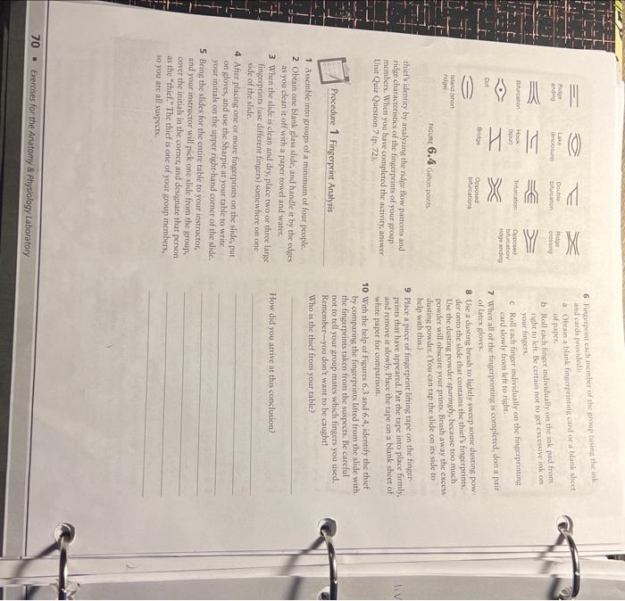 Exercise 6-3 Touch Receptor Distribution MATERIAIS - | Chegg.com