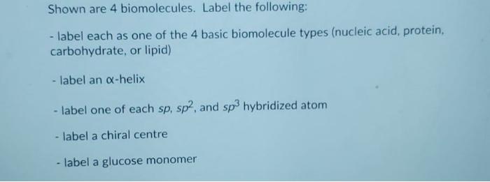 Solved Shown are 4 biomolecules. Label the following: - | Chegg.com