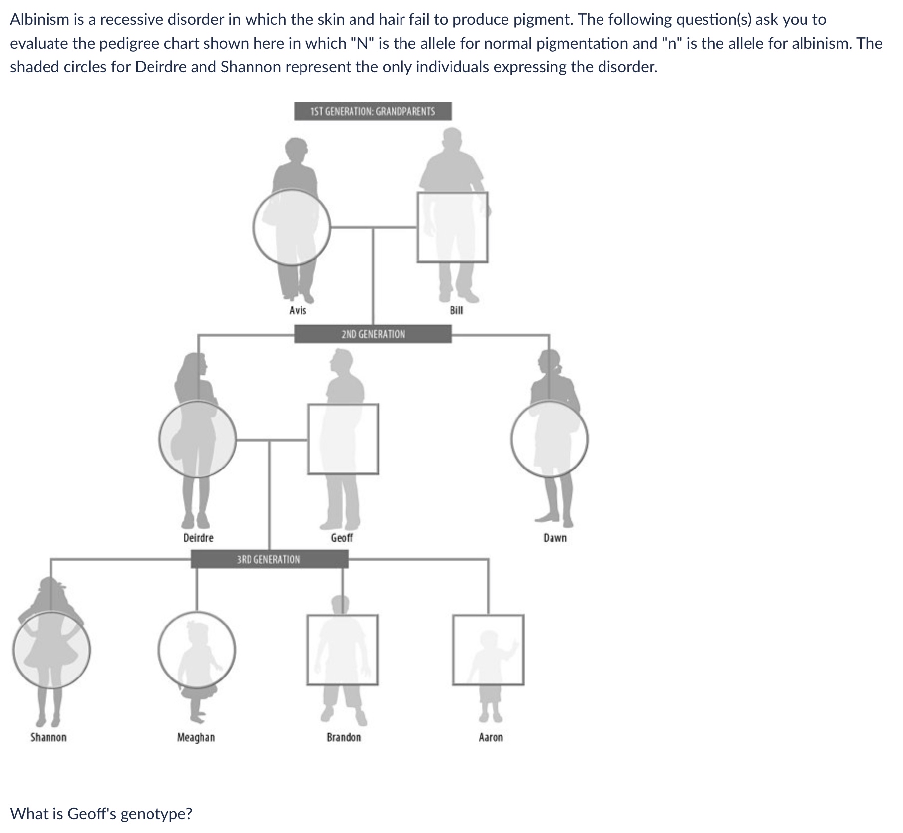 Solved Albinism is a recessive disorder in which the skin | Chegg.com