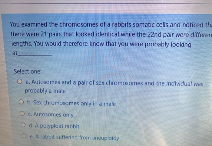 Solved You examined the chromosomes of a rabbits somatic | Chegg.com