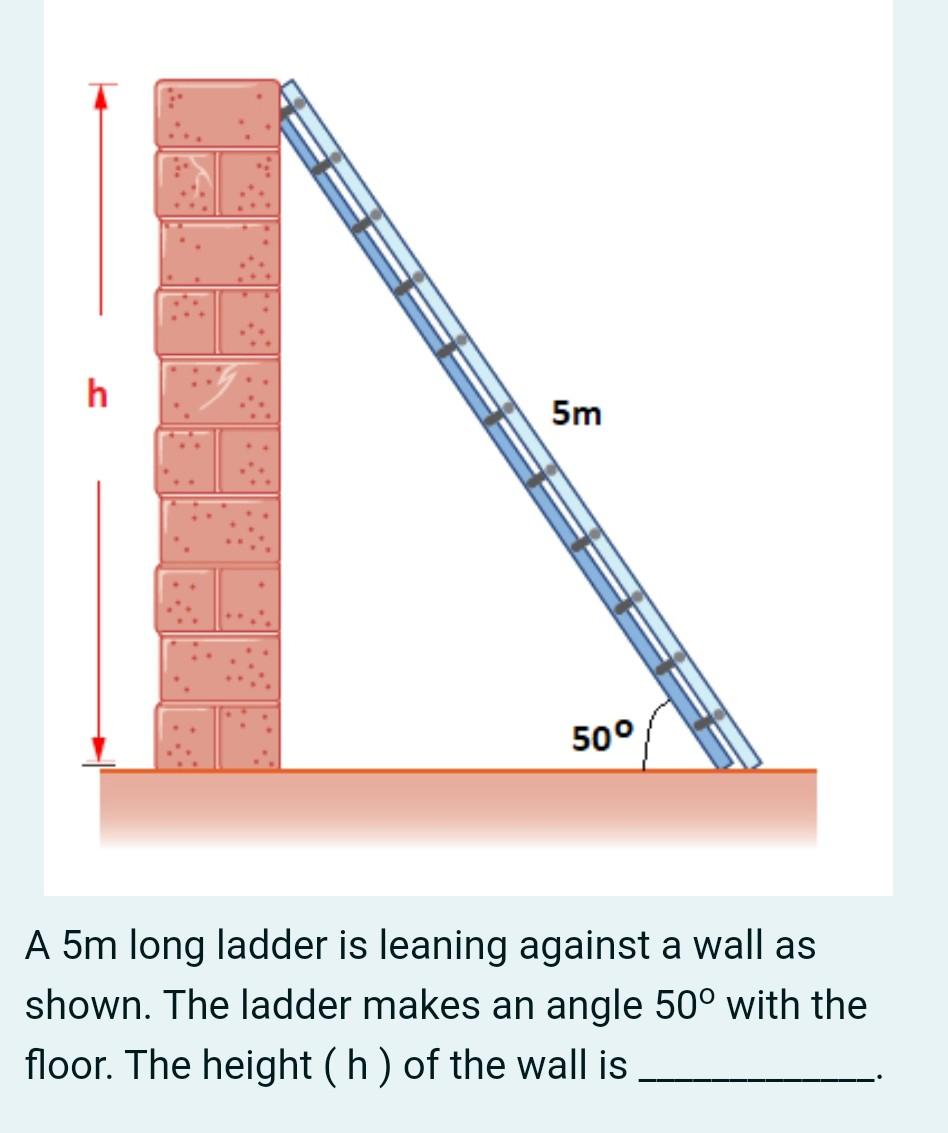 Solved h 5m 500 A 5m long ladder is leaning against a wall | Chegg.com