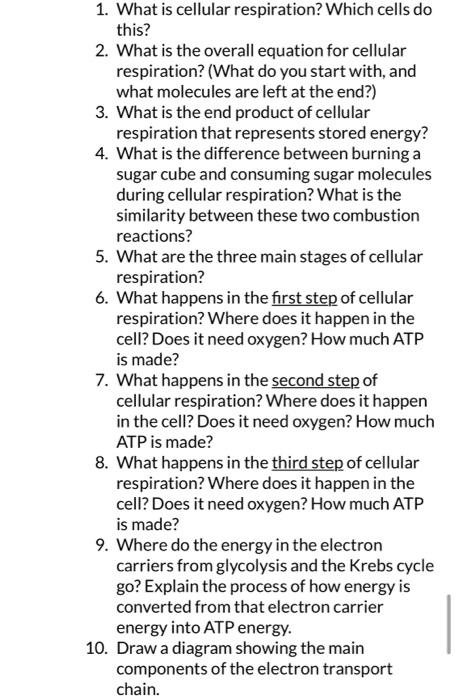Solved 1. What is cellular respiration? Which cells do this? | Chegg.com