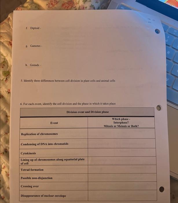 Solved D 1. 2. 3. 4. Lab 13: Cell Division Answer Sheet What | Chegg.com