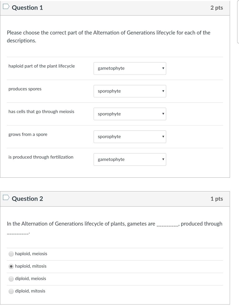 Solved Question 6 3 pts Multiple Answer: Please choose all | Chegg.com