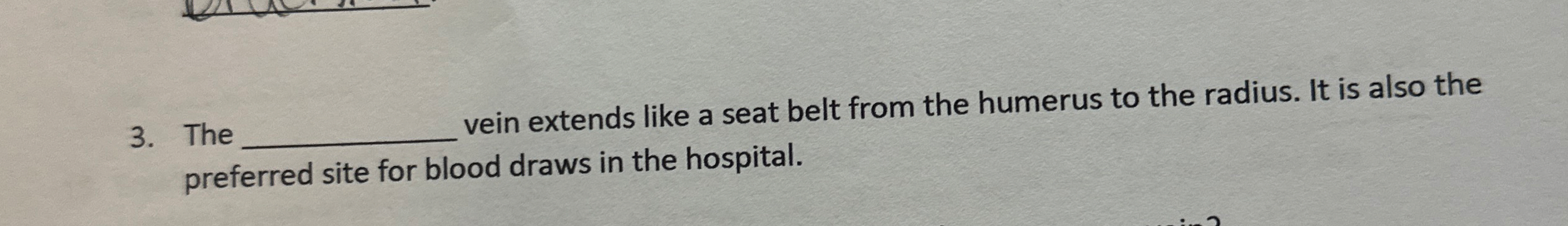 The q, ﻿vein extends like a seat belt from the | Chegg.com