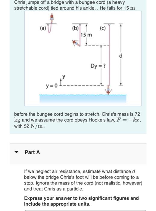 Solved Chris jumps off a bridge with a bungee cord (a heavy | Chegg.com