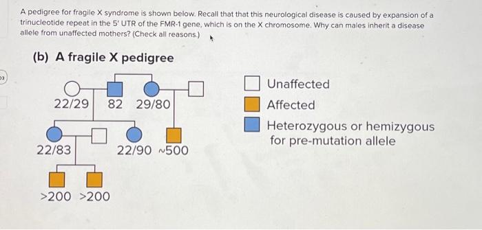 Solved A pedigree for fragile X syndrome is shown below. | Chegg.com