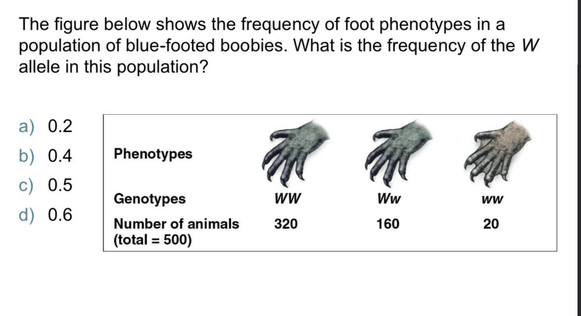Solved The figure below shows the frequency of foot | Chegg.com