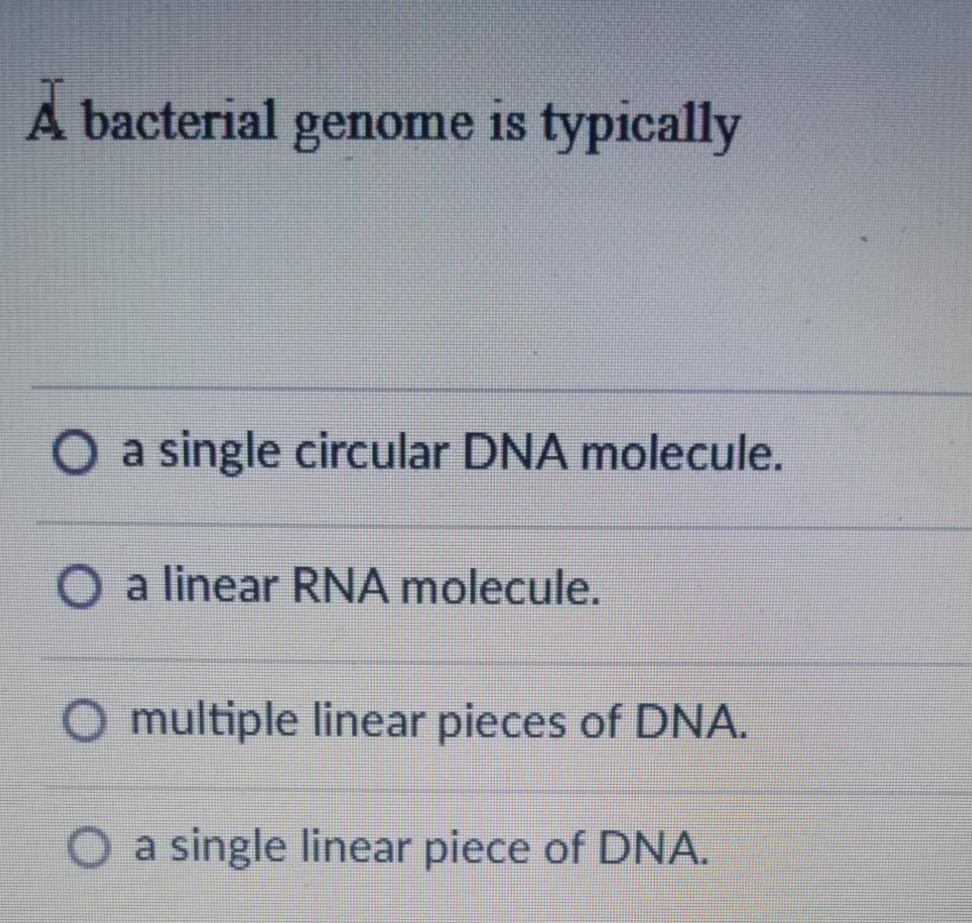 Solved A bacterial genome is typically O a single circular | Chegg.com