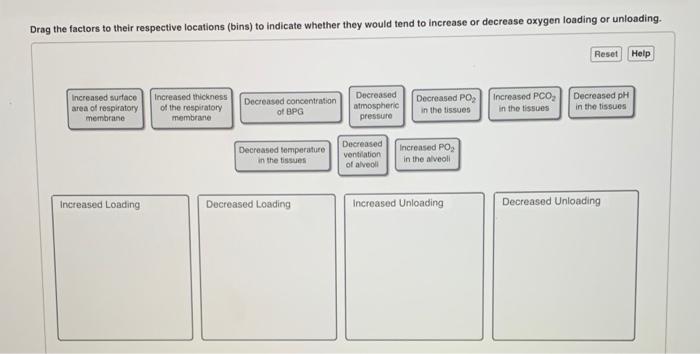 Solved Drag the factors to their respective locations (bins) | Chegg.com