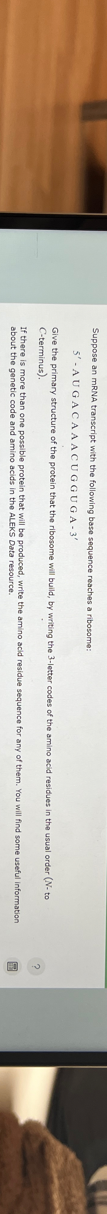 Solved Suppose an mRNA transcript with the following base | Chegg.com