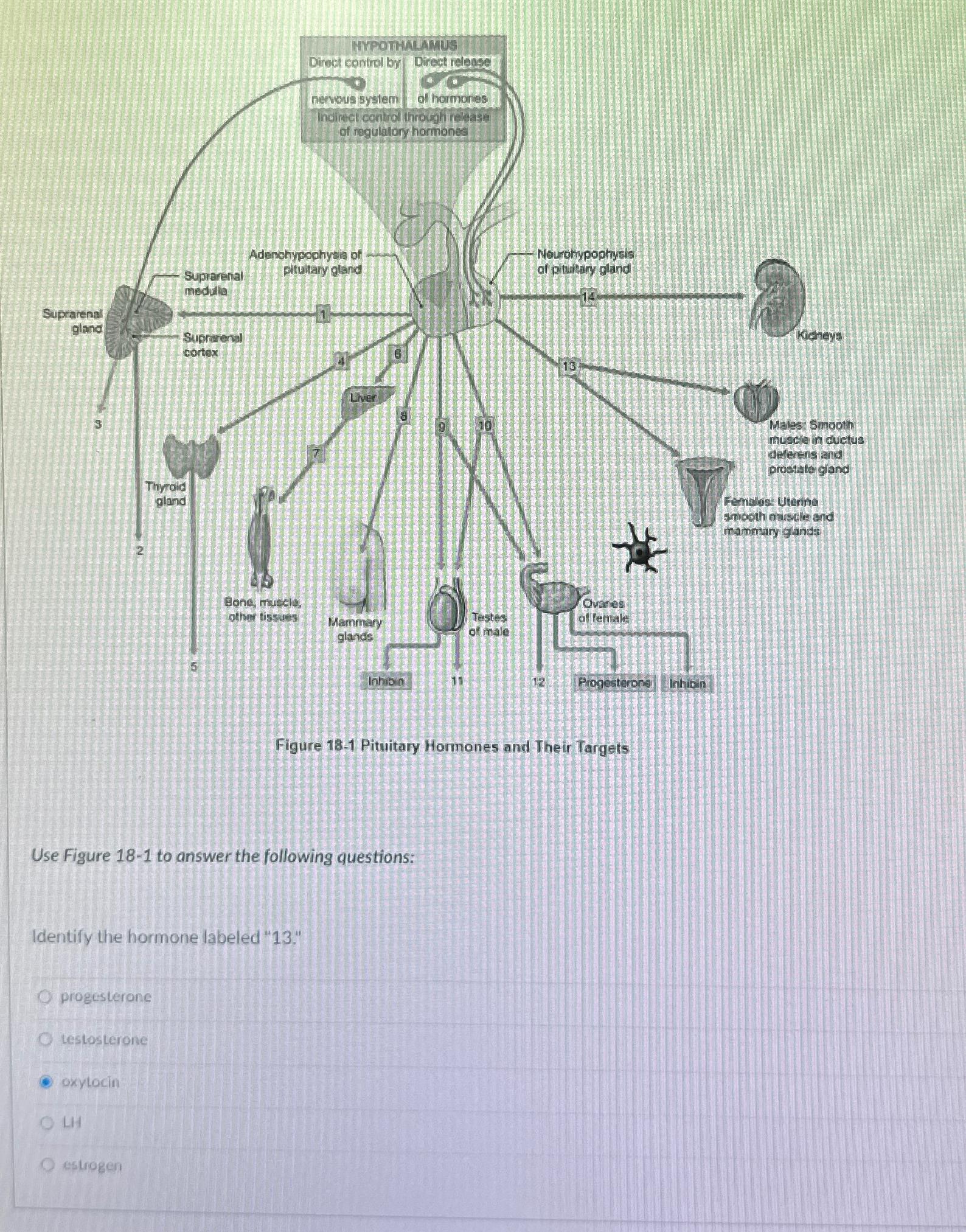 Solved Use Figure 18-1 to answer the following | Chegg.com Solved Use Figure 18-1 to answer the following | Chegg.com