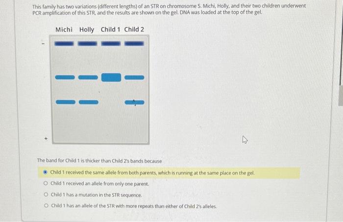 Solved This family has two variations (different lengths) of | Chegg.com