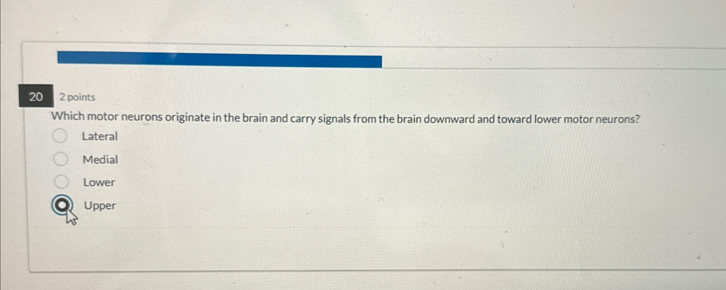 Solved 202 ﻿pointsWhich motor neurons originate in the brain | Chegg.com