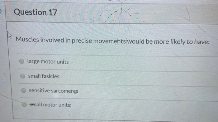 Solved Question 17 Muscles involved in precise movements | Chegg.com