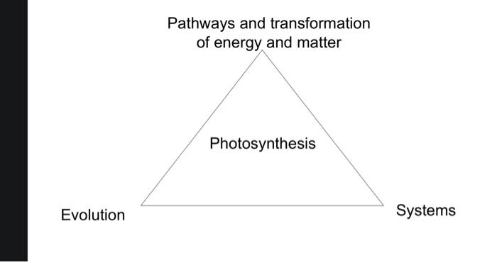 Solved Pathways and transformation of energy and matter | Chegg.com