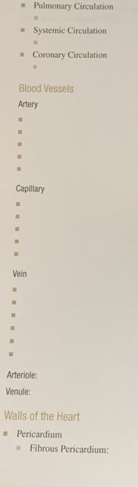 Solved • Pulmonary Circulation # Systemic Circulation = | Chegg.com