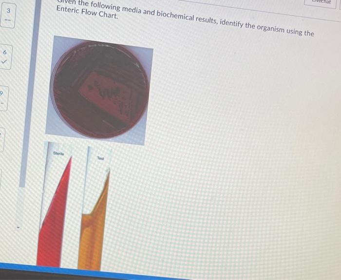 Solved the following media and biochemical results, identify | Chegg.com