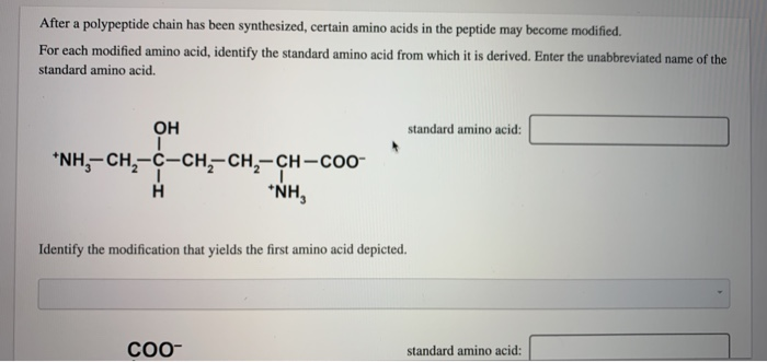 Solved After a polypeptide chain has been synthesized, | Chegg.com