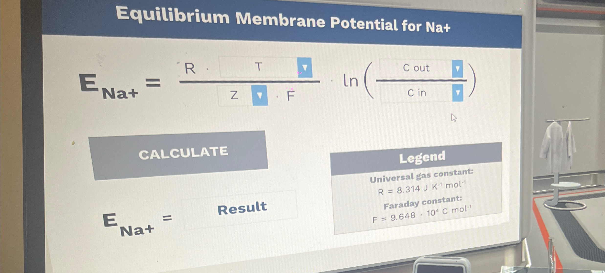 Solved Equilibrium Membrane Potential for | Chegg.com