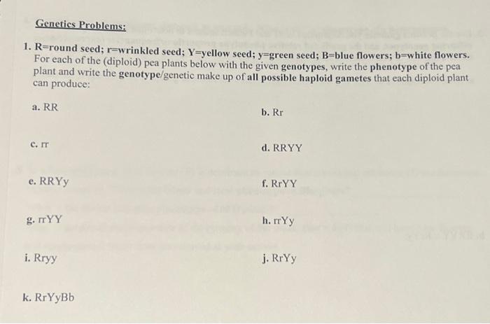 Solved 1. R= round seed; r= wrinkled seed; Y= yellow seed; | Chegg.com