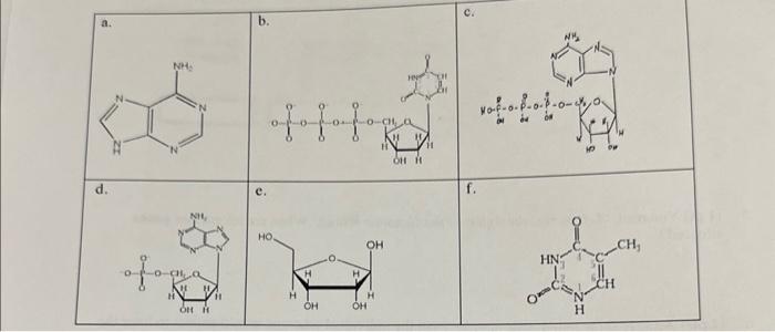 Solved provide a general or specific name for each structure | Chegg.com