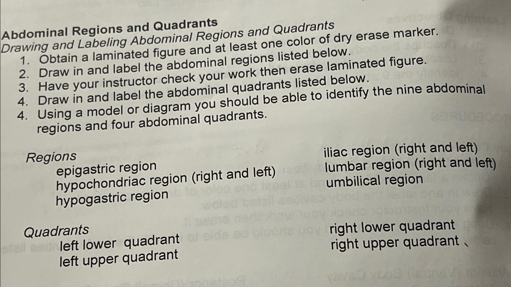 Solved Abdominal Regions and QuadrantsDrawing and Labeling | Chegg.com