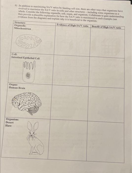 Solved 6) In addition to maximizing SAV ratios by limiting | Chegg.com