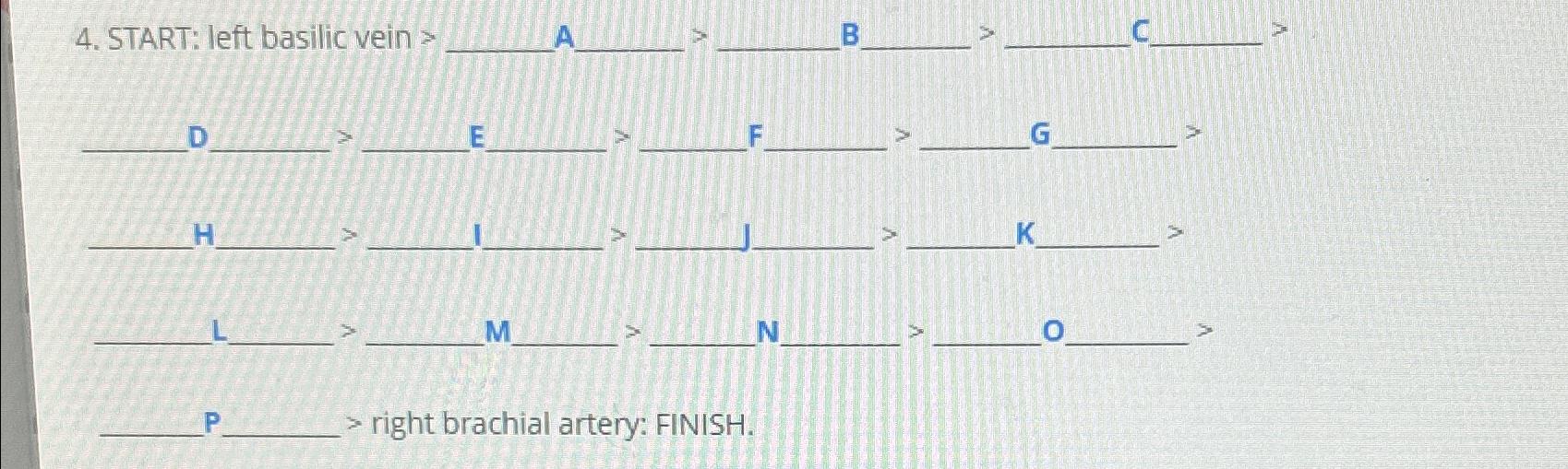 Solved START: left basilic vein >A > ﻿B > ﻿CD > ﻿E > ﻿F G P | Chegg.com