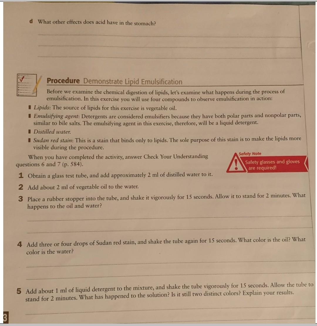 solved-procedure-test-carbohydrate-digestion-in-the-chegg