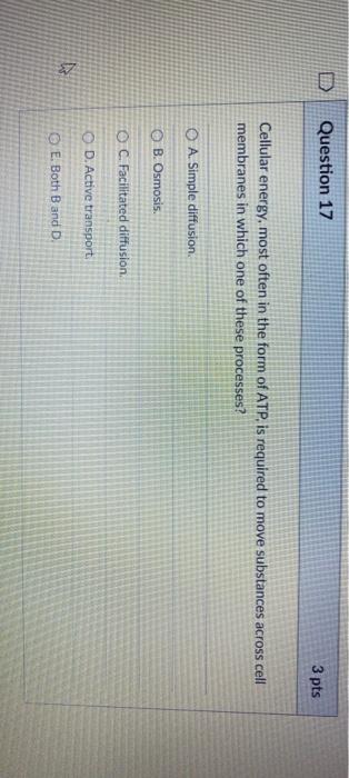 Solved Question 14 3 pts Which subcellular structure looks | Chegg.com