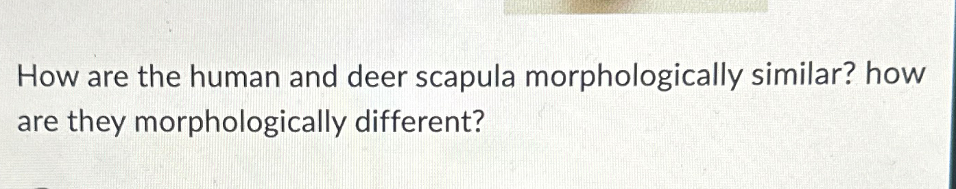 Solved How are the human and deer scapula morphologically | Chegg.com