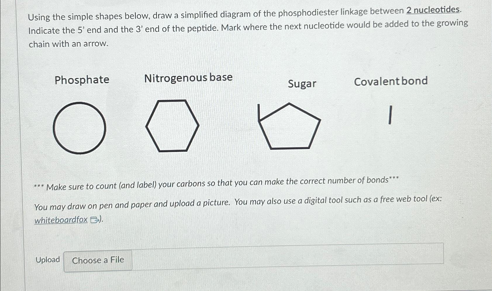 Solved Using the simple shapes below, draw a simplified | Chegg.com