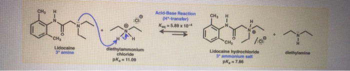 5.00 molar equivalents of diethylamine Et2NH are | Chegg.com