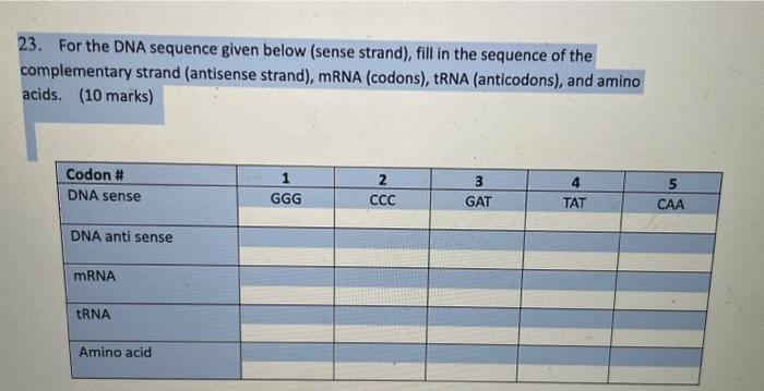 Solved 23. For the DNA sequence given below (sense strand), | Chegg.com