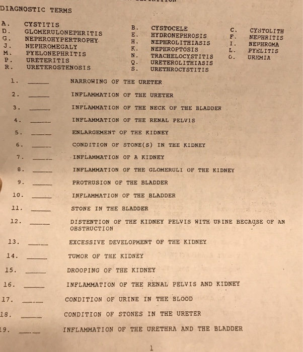 Solved DIAGNOSTIC TERMS A. D. B. C. E. F. J. CYSTITIS | Chegg.com