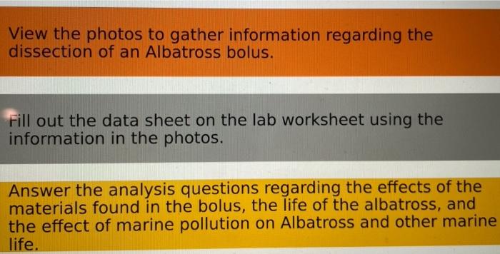 Solved View the photos to gather information regarding the | Chegg.com