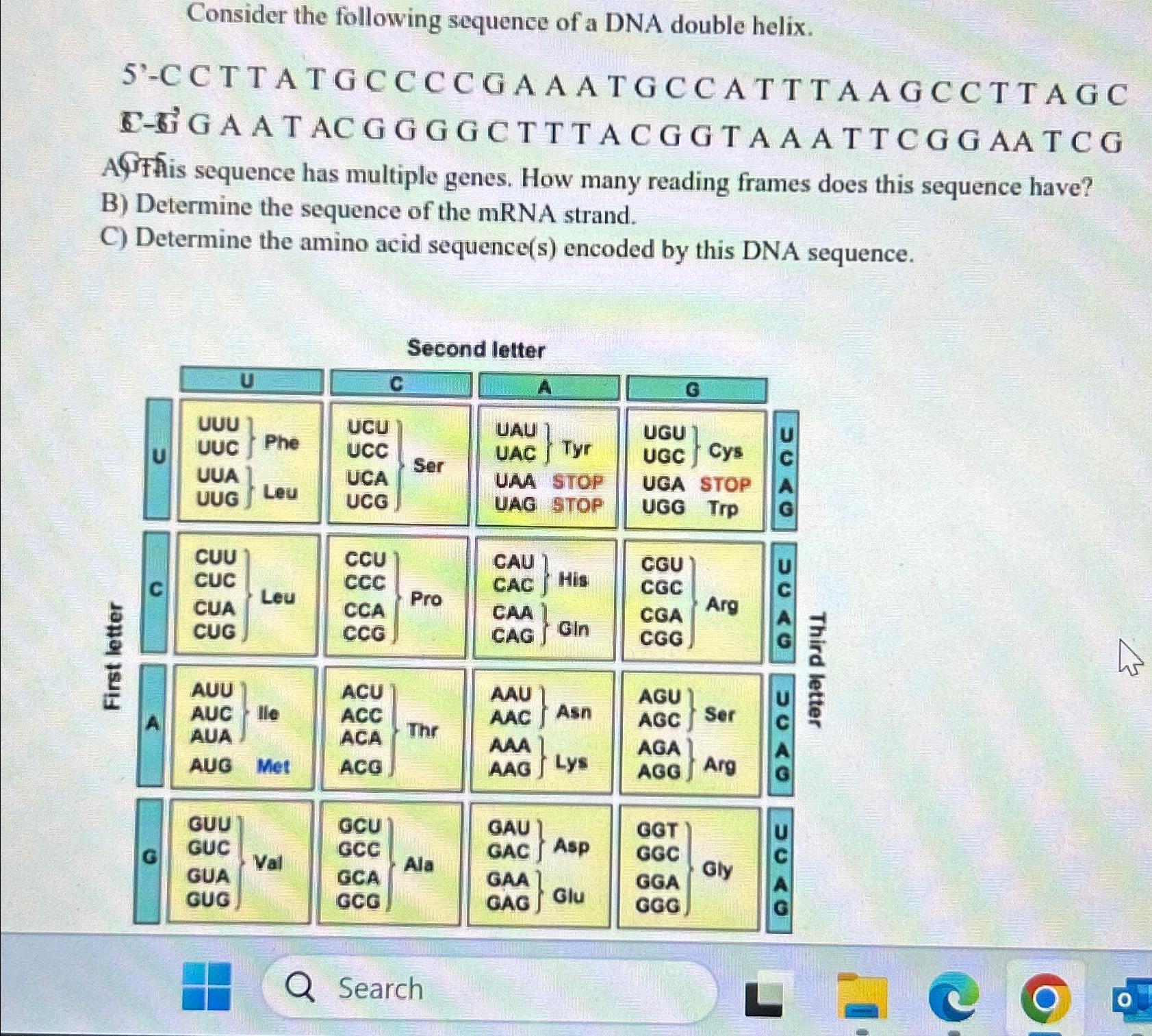 Solved Consider the following sequence of a DNA double | Chegg.com