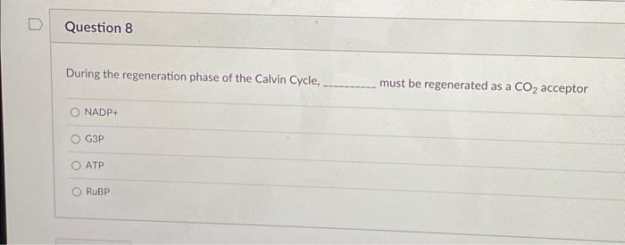 Solved Question 8 During the regeneration phase of the | Chegg.com