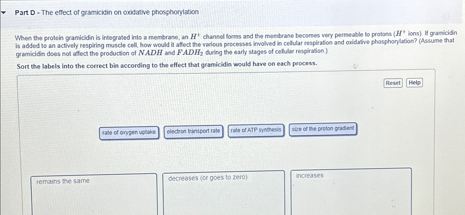 Solved Part D - ﻿The effect of gramicidin on oxidative | Chegg.com