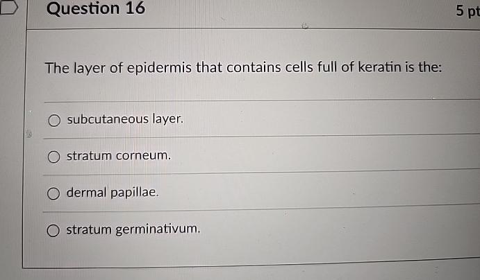 Solved Question 16The layer of epidermis that contains cells | Chegg.com