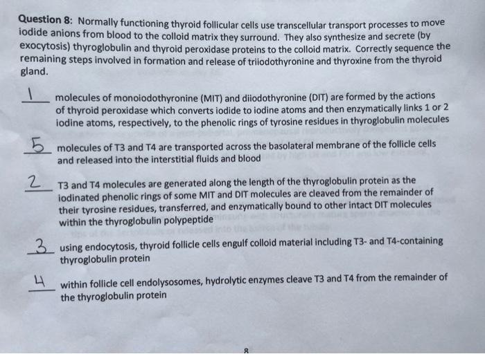 Solved Question 8: Normally functioning thyroid follicular | Chegg.com
