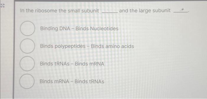 Solved In the ribosome the small subunit and the large | Chegg.com