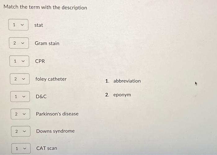 Solved Match the term with the description stat Gram stain | Chegg.com