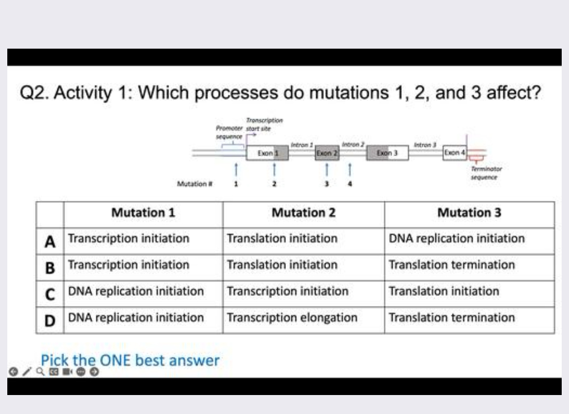 Solved Q2. ﻿Activity 1: Which processes do mutations 1, 2, | Chegg.com