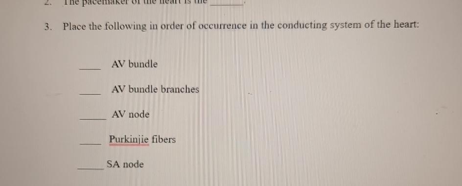 Solved Place the following in order of occurrence in the | Chegg.com