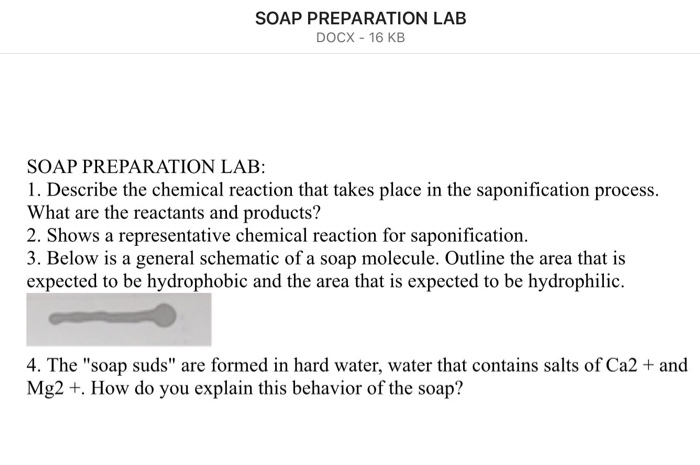 Solved SOAP PREPARATION LAB DOCX - 16 KB SOAP PREPARATION | Chegg.com