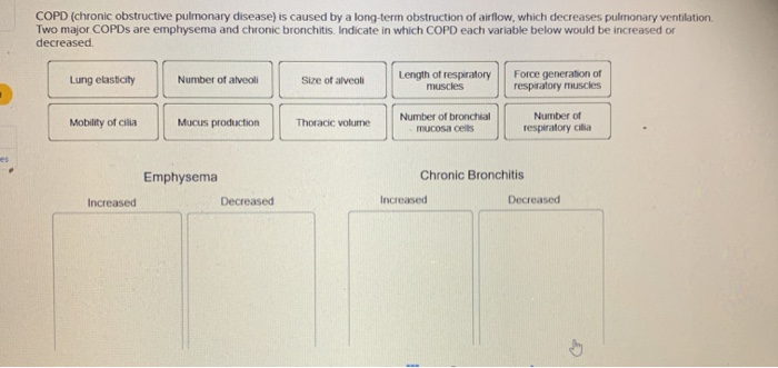 Solved COPD (chronic obstructive pulmonary disease) is | Chegg.com