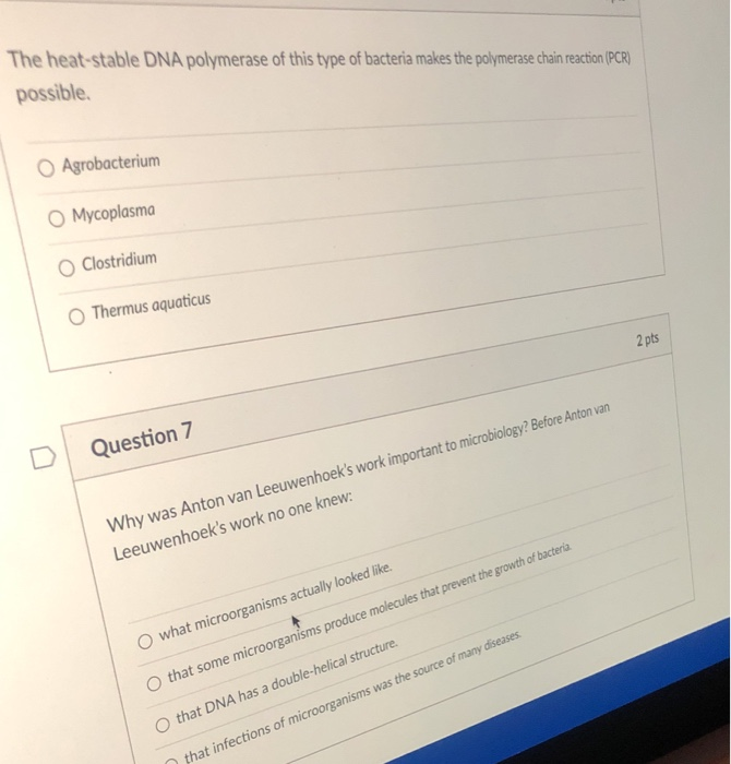 Solved The heat-stable DNA polymerase of this type of | Chegg.com